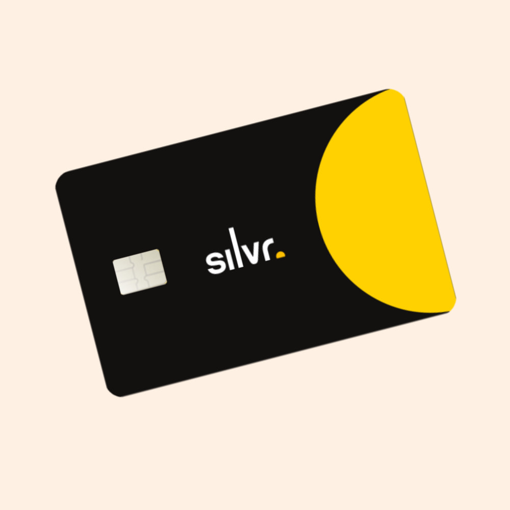 Silvr, la fintech pionnière du Revenue Based Financing, lève 130 M ...