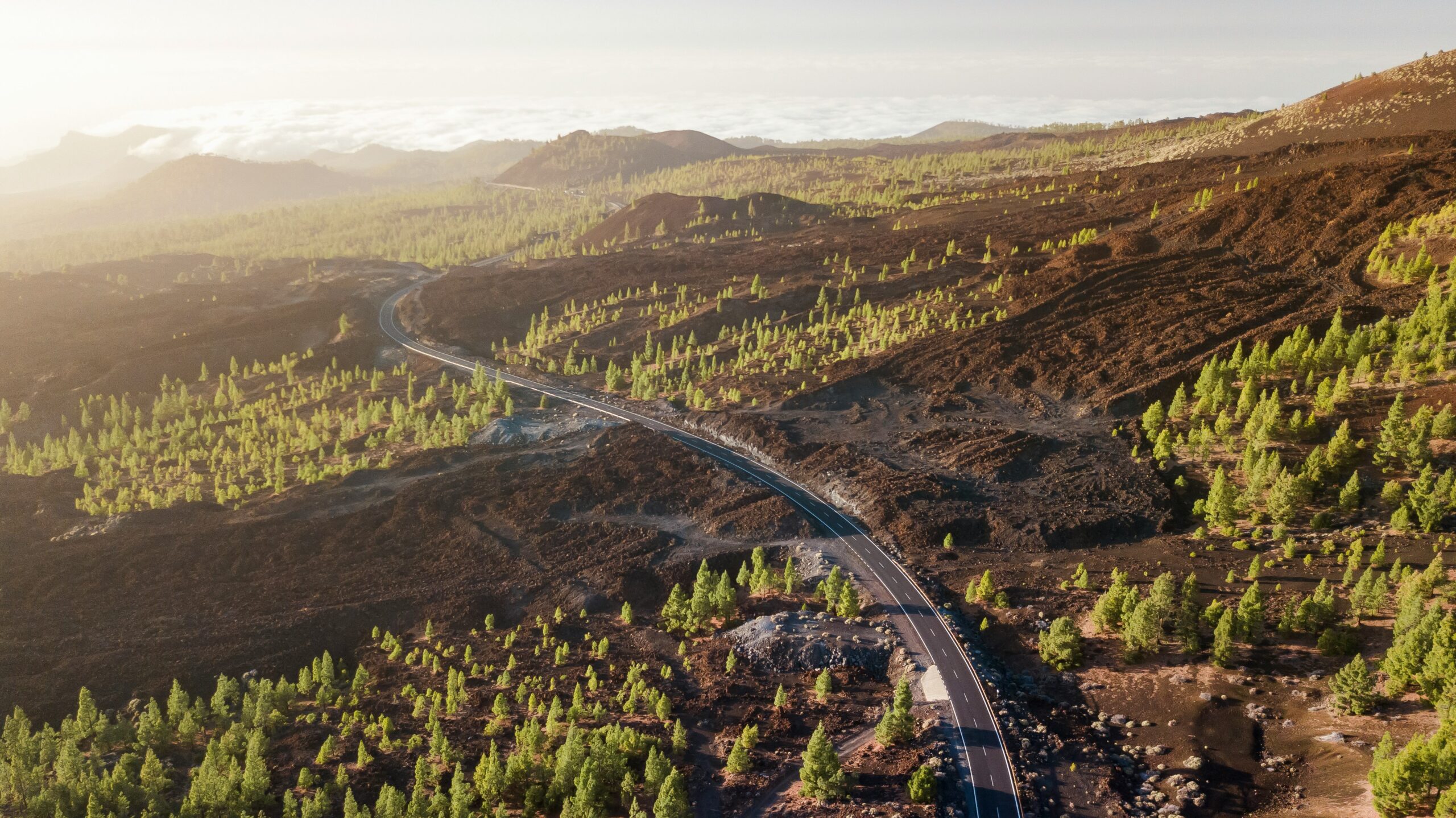 Highlight de Bertrand Rambaud - Siparex